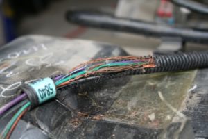 RODENT DAMAGE IN VEHICLE ENGINE COMPARTENT